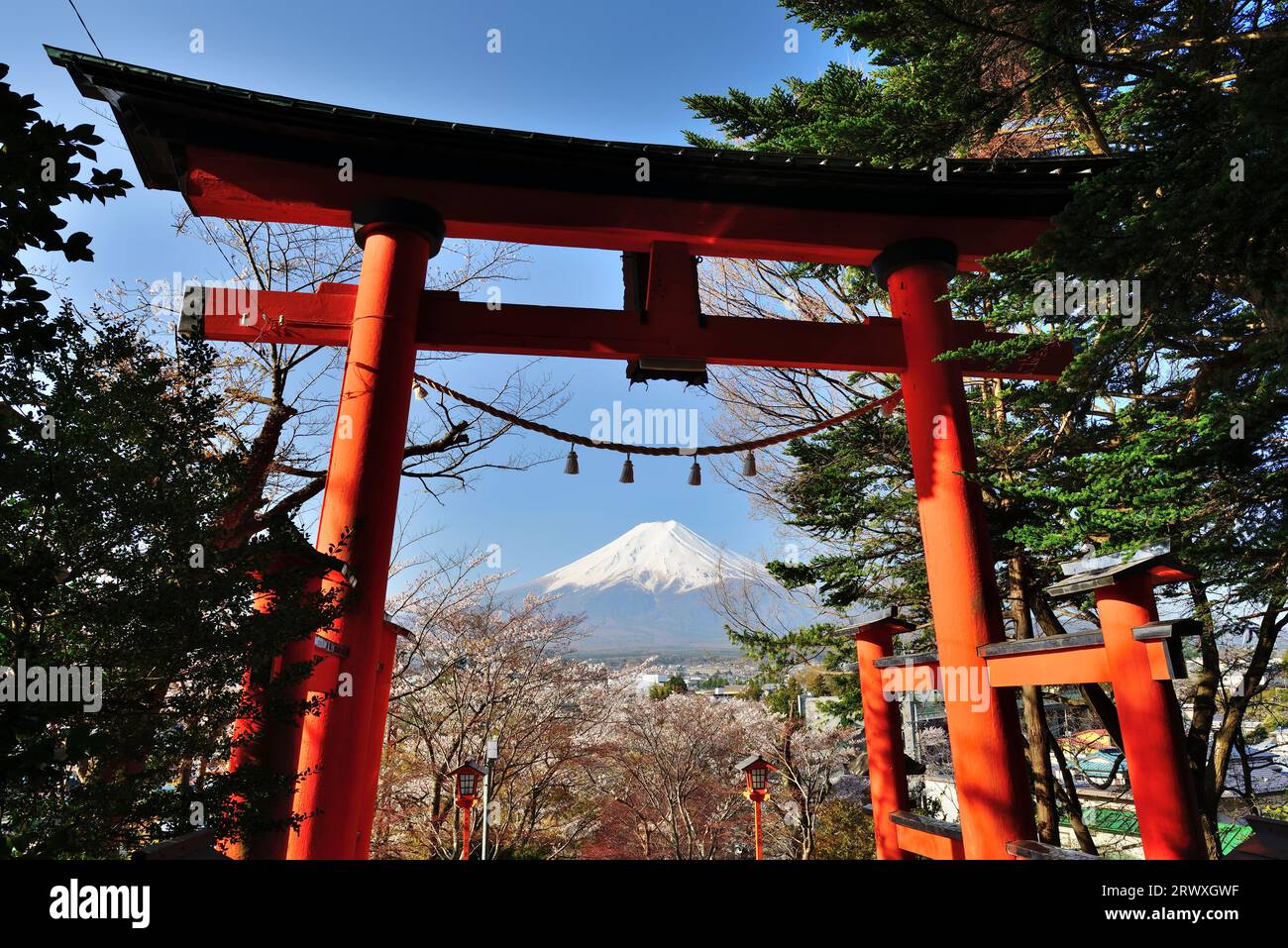 The torii gate and Mt. Fuji (spring) in Niikurayama Sengen Park ...
