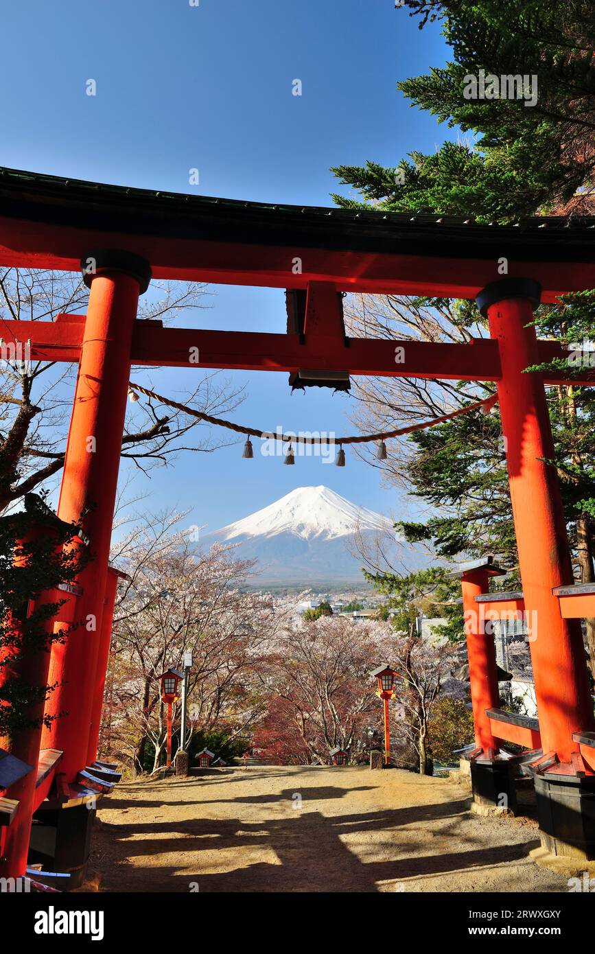 The torii gate and Mt. Fuji (spring) in Niikurayama Sengen Park ...