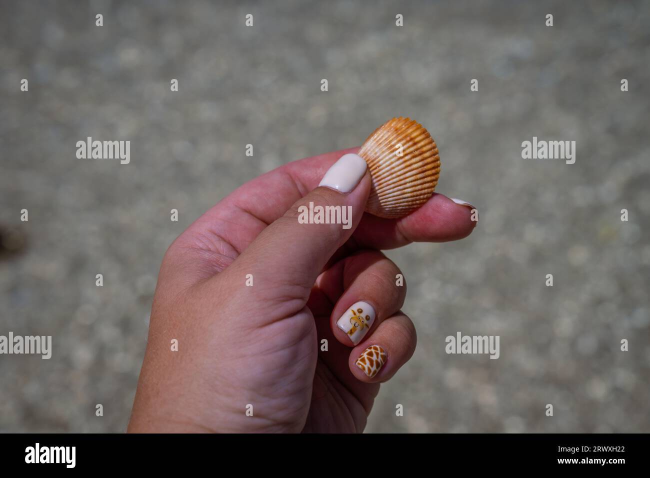 Girl sea shell hi-res stock photography and images - Alamy