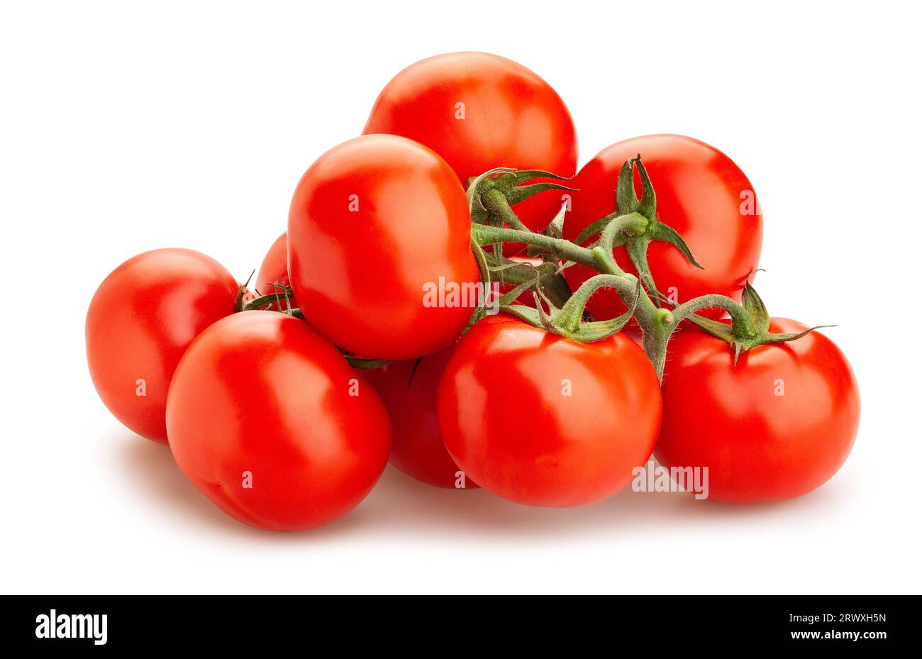 tomato branch path isolated on white Stock Photo - Alamy
