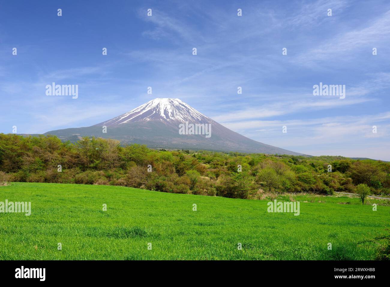 Fresh green and Mt. Fuji from Fujigamine Plateau in Yamanashi Stock ...