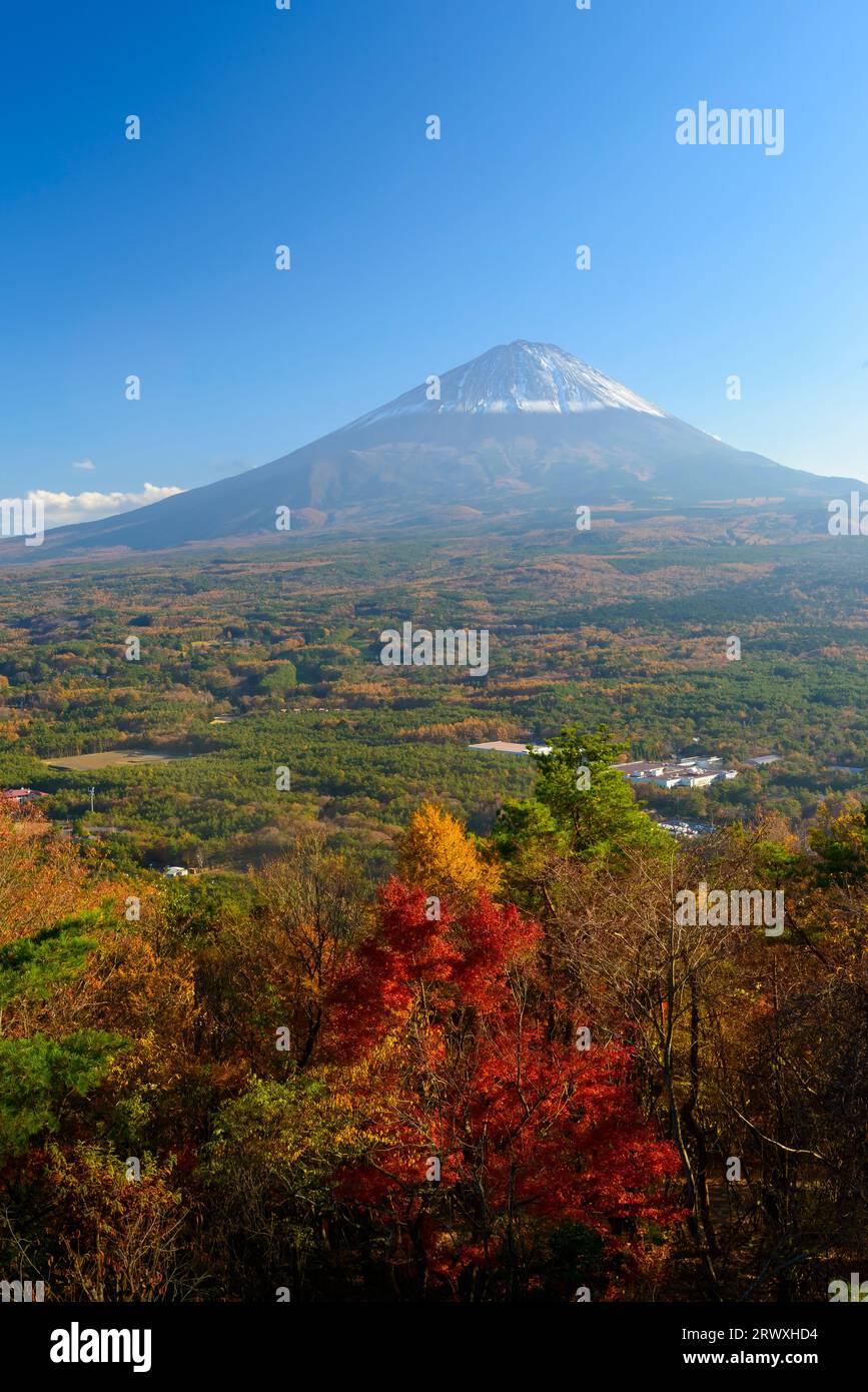 Yamanashi Mt. Fuji seen from the Momijidai Rest House in autumn Stock ...