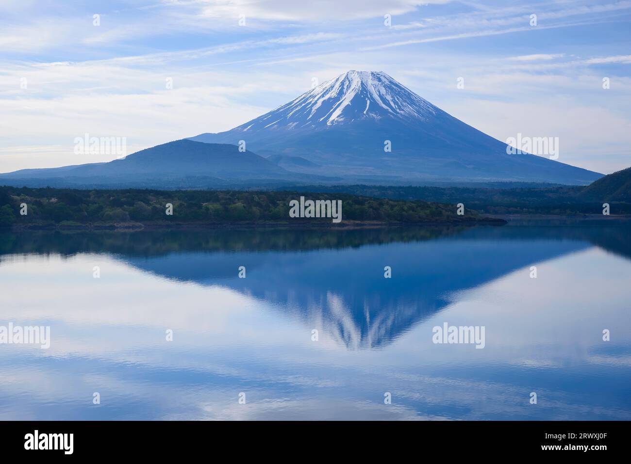 Fuji in early summer reflected in Motosuko Lake, Yamanashi Stock Photo ...