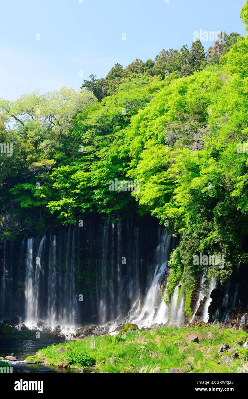 Shiraito waterfalls in shizuoka hi-res stock photography and images - Alamy