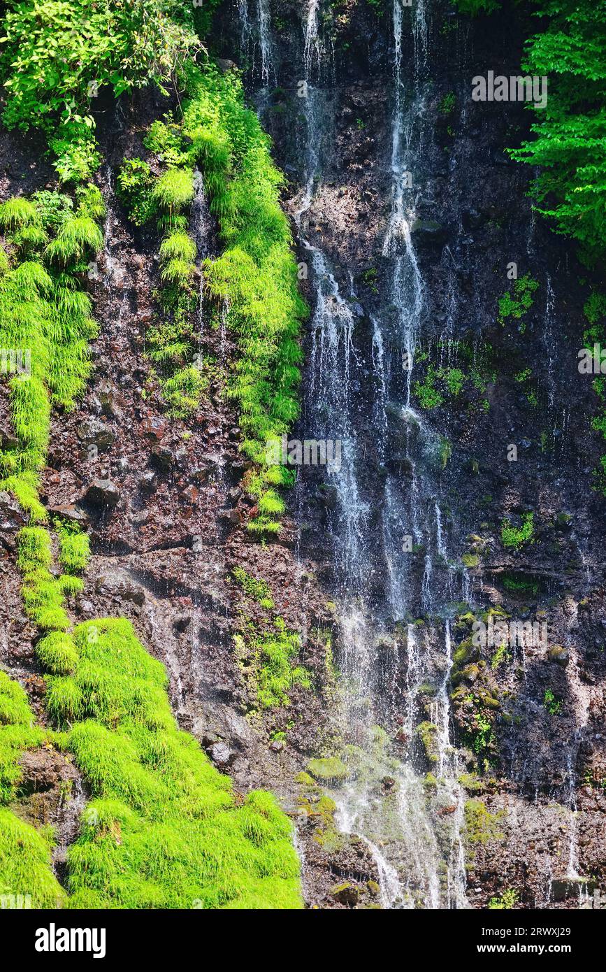 Spring water from the lava fault at Shiraito Falls, Shizuoka Prefecture ...