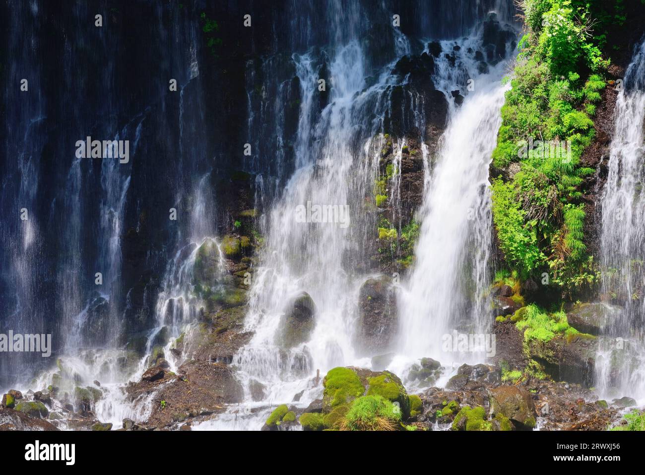 Spring water from the lava fault at Shiraito Falls, Shizuoka Prefecture ...