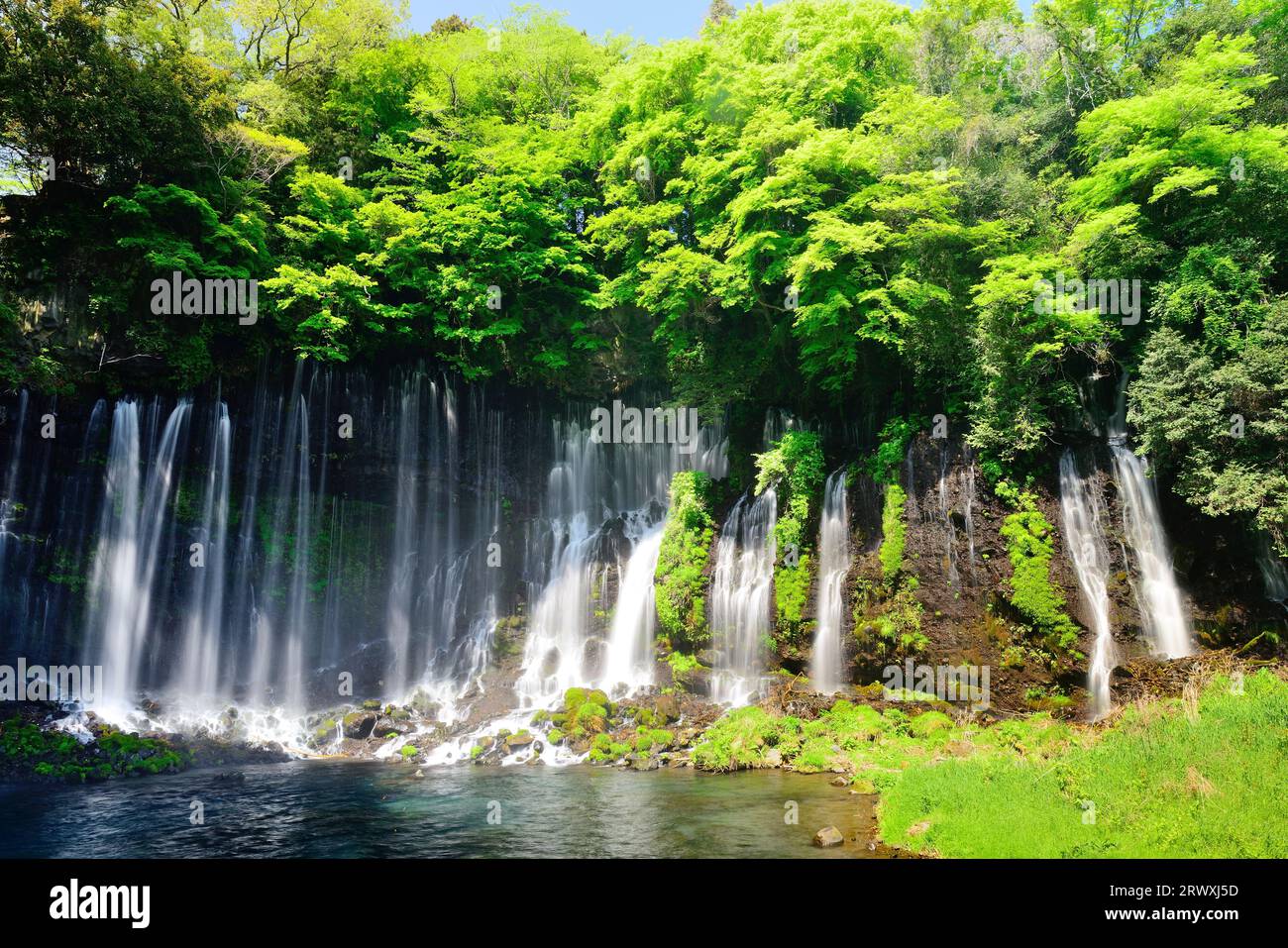 Shiraito Falls and the waterfall basin in fresh green, Shizuoka ...