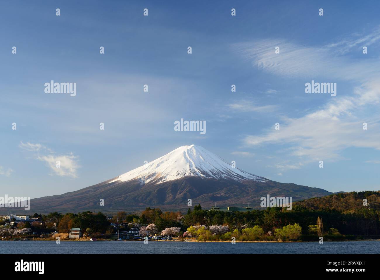 Yamanashi Mt. Fuji seen from Kawaguchiko Lake in spring Stock Photo - Alamy