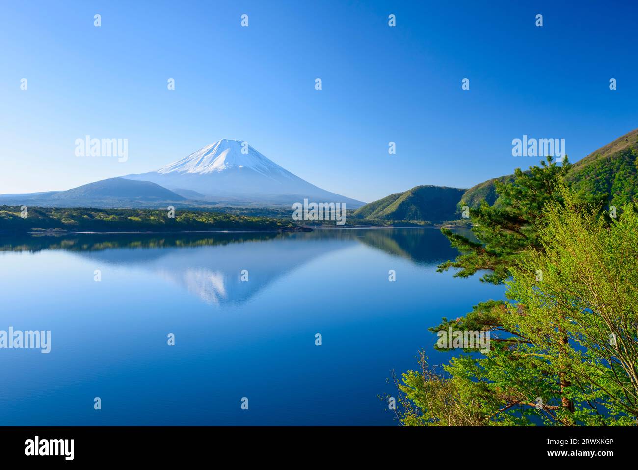 Mt fuji green verdure in hi-res stock photography and images - Alamy