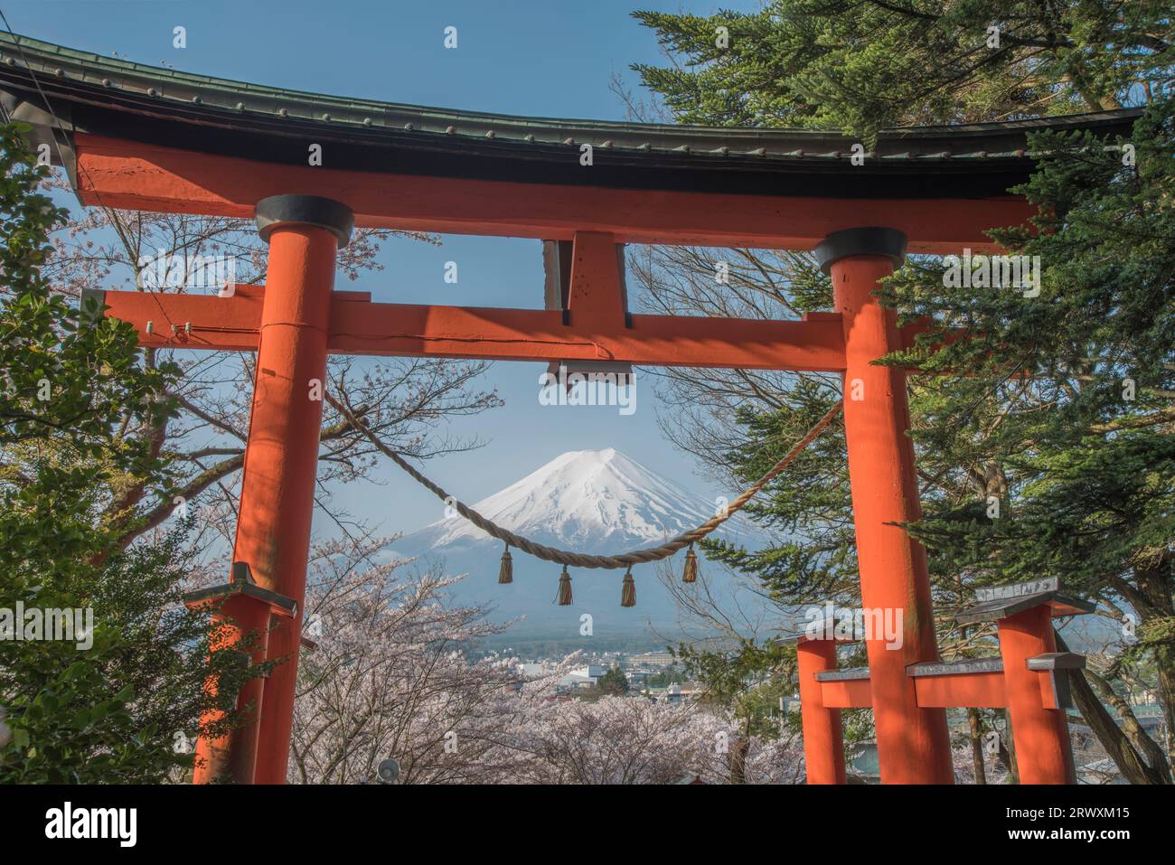 Mt. Fuji and the torii gate Stock Photo - Alamy