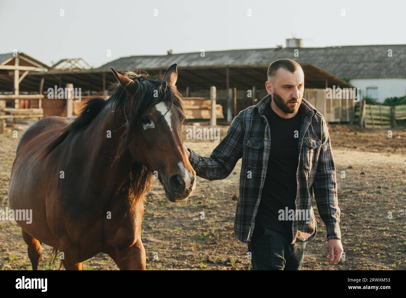 A young farmer works in a paddock with horses. A young man takes care ...