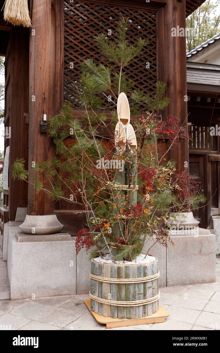 Kadomatsu pine tree Stock Photo - Alamy