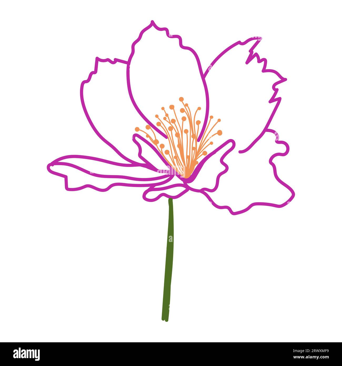 Peony flower black line Stock Vector Images - Alamy