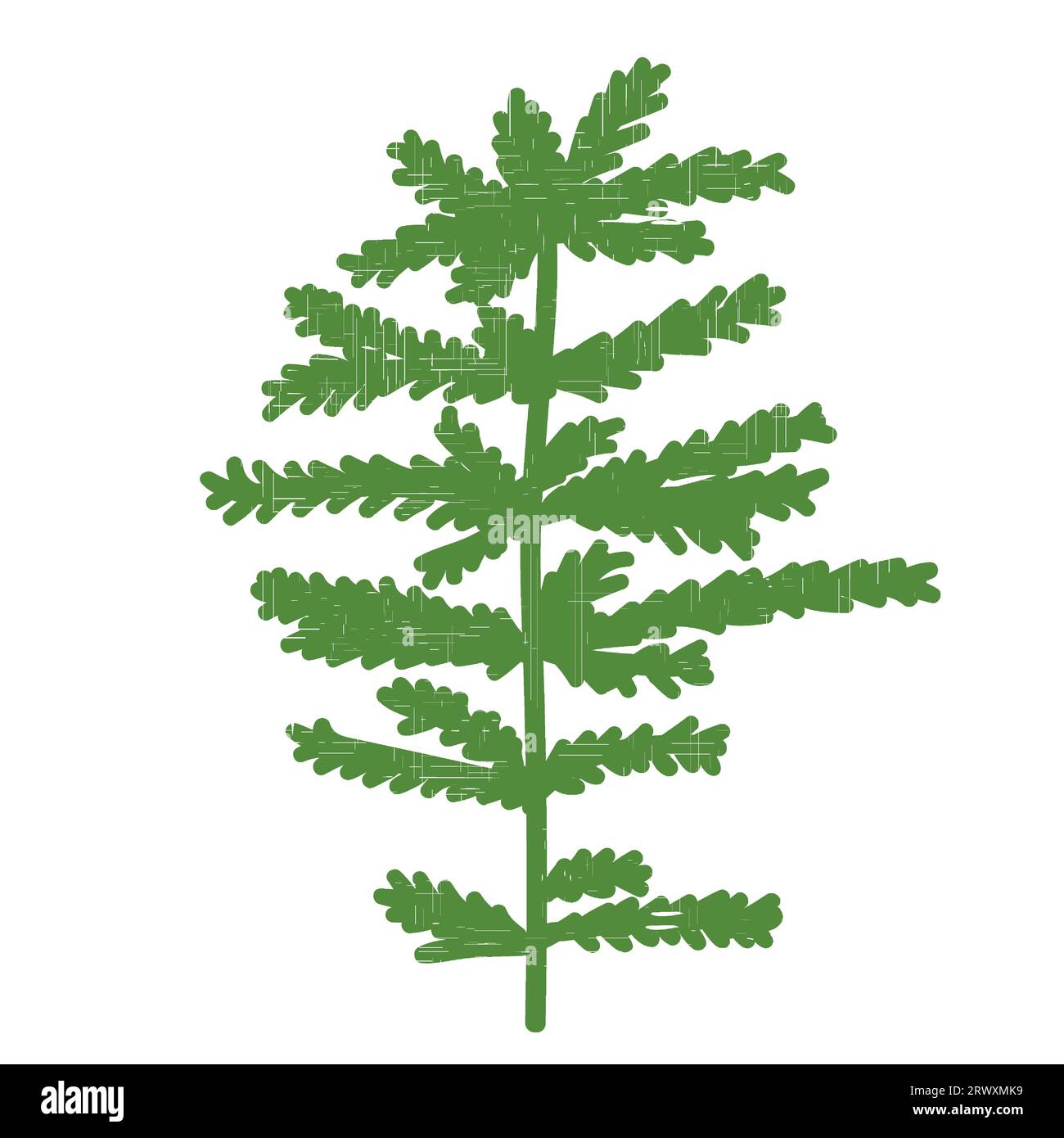 Green branch of a spruce with needles. Vector illustration Stock Vector ...