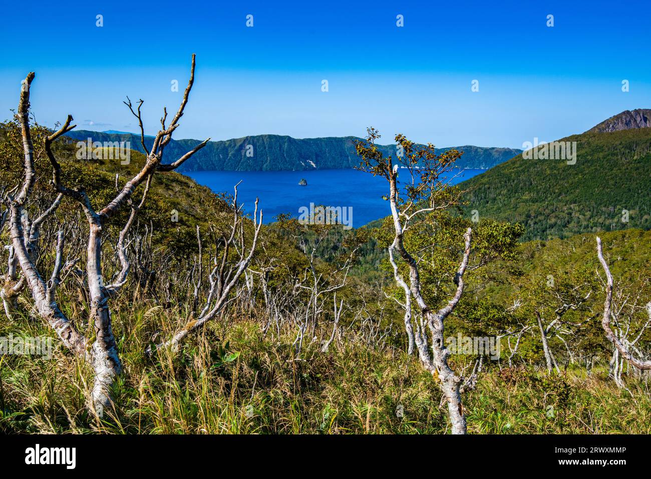 Lake Mashu Ko's Outer Rim and Birch Trees Stock Photo - Alamy