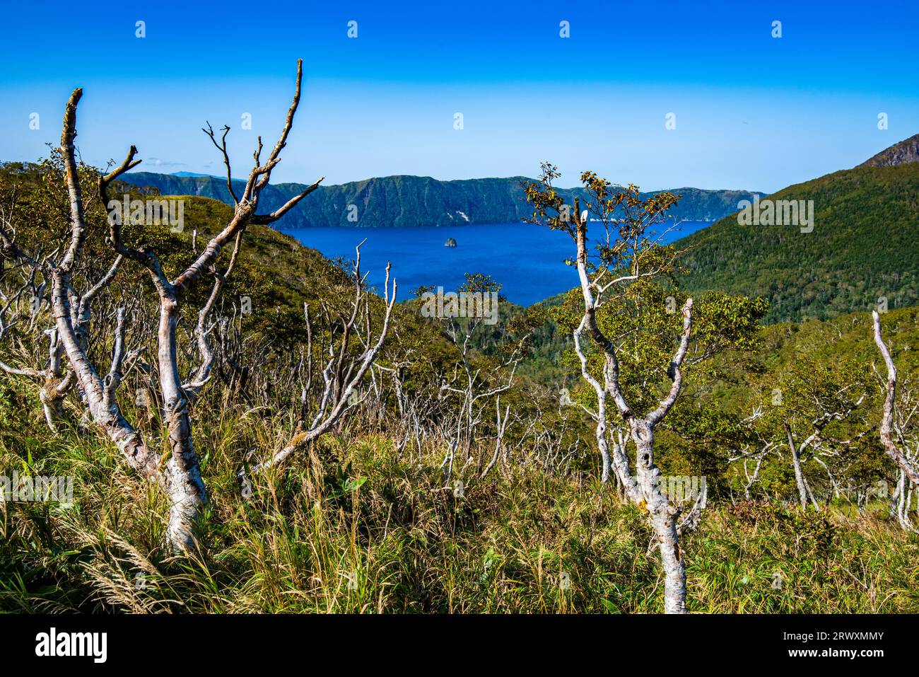 Lake Mashu Ko's Outer Rim and Birch Trees Stock Photo - Alamy