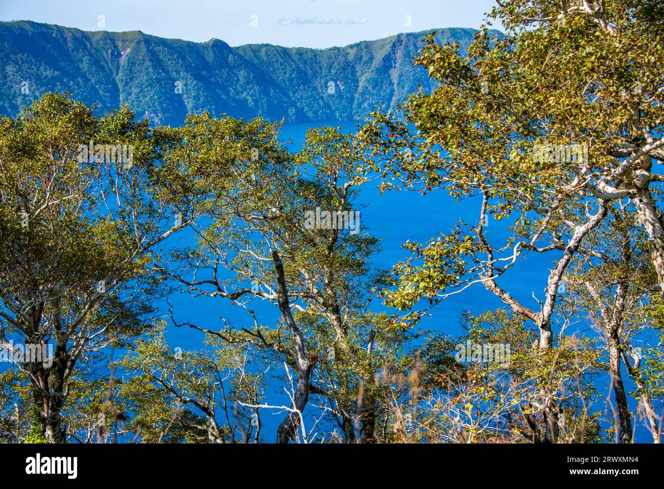 Lake Mashu Ko's Blue Color and Birch Trees Stock Photo - Alamy