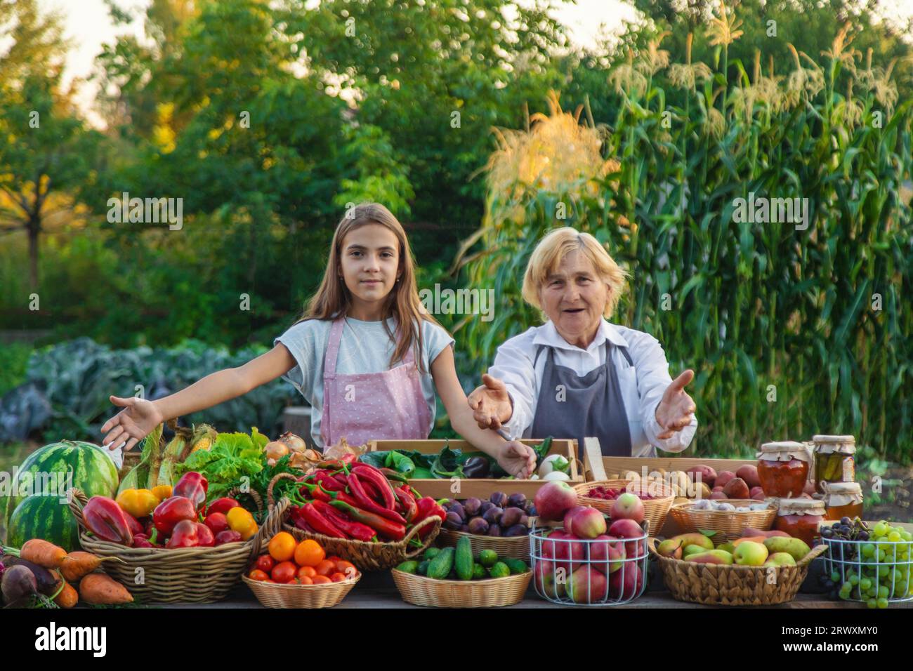 Grandmother and granddaughter sell vegetables and fruits at the farmers ...