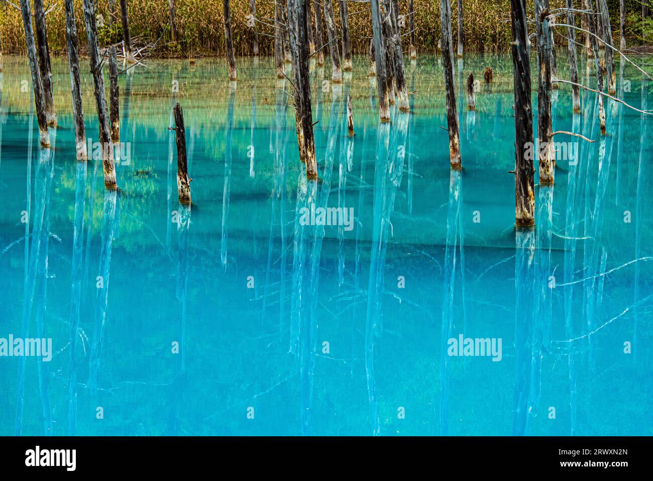 Biei-cho, Hokkaido: Shirogane Blue Pond Stock Photo - Alamy