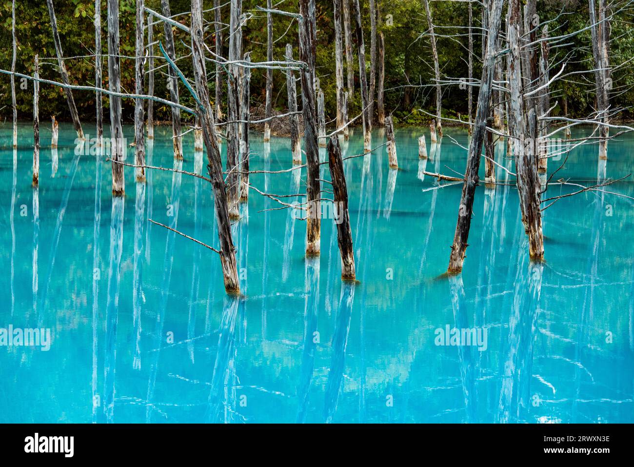 Biei-cho, Hokkaido: Shirogane Blue Pond Stock Photo - Alamy