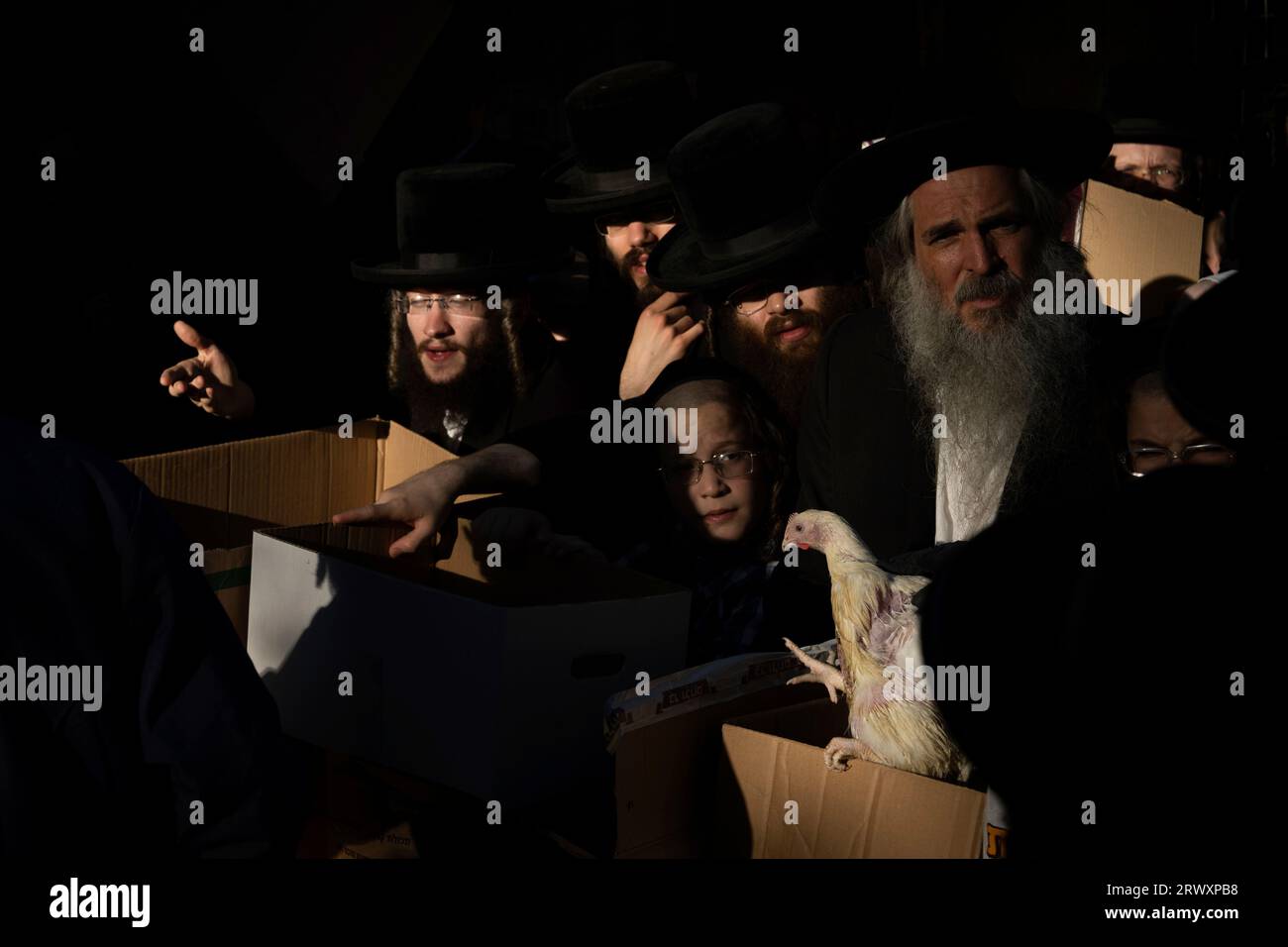 Ultra-Orthodox Jews buy chickens for the Kaparot ritual in Bnei Brak ...