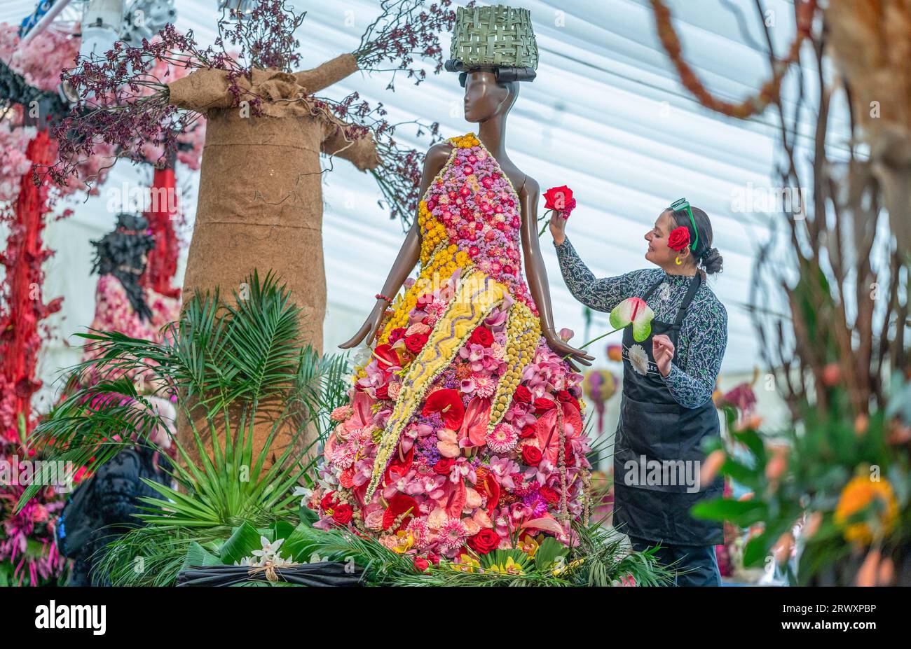 Madagascar 2023 hi-res stock photography and images - Alamy