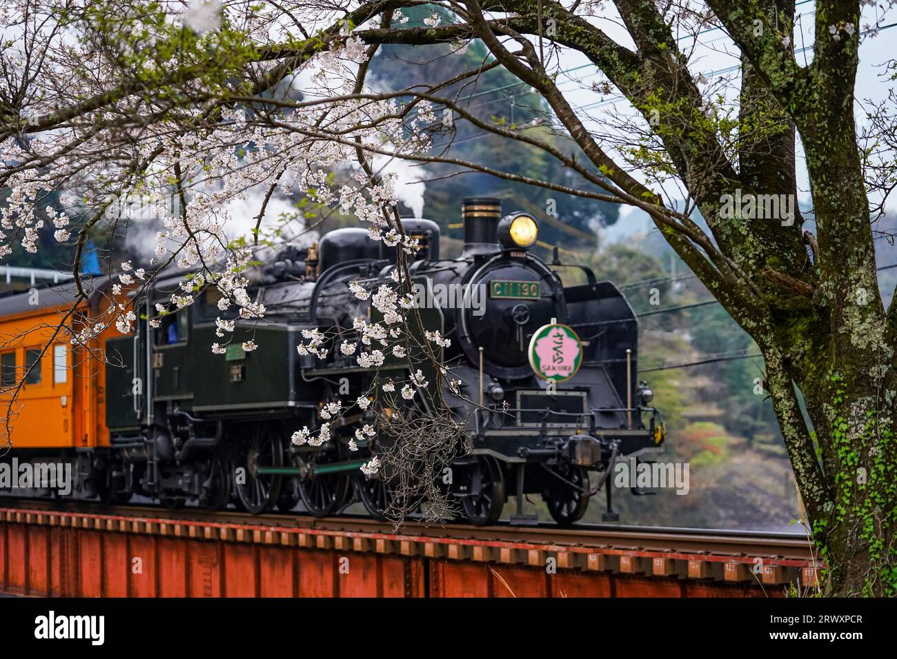 Oigawa Railway SL running through a bridge Stock Photo - Alamy