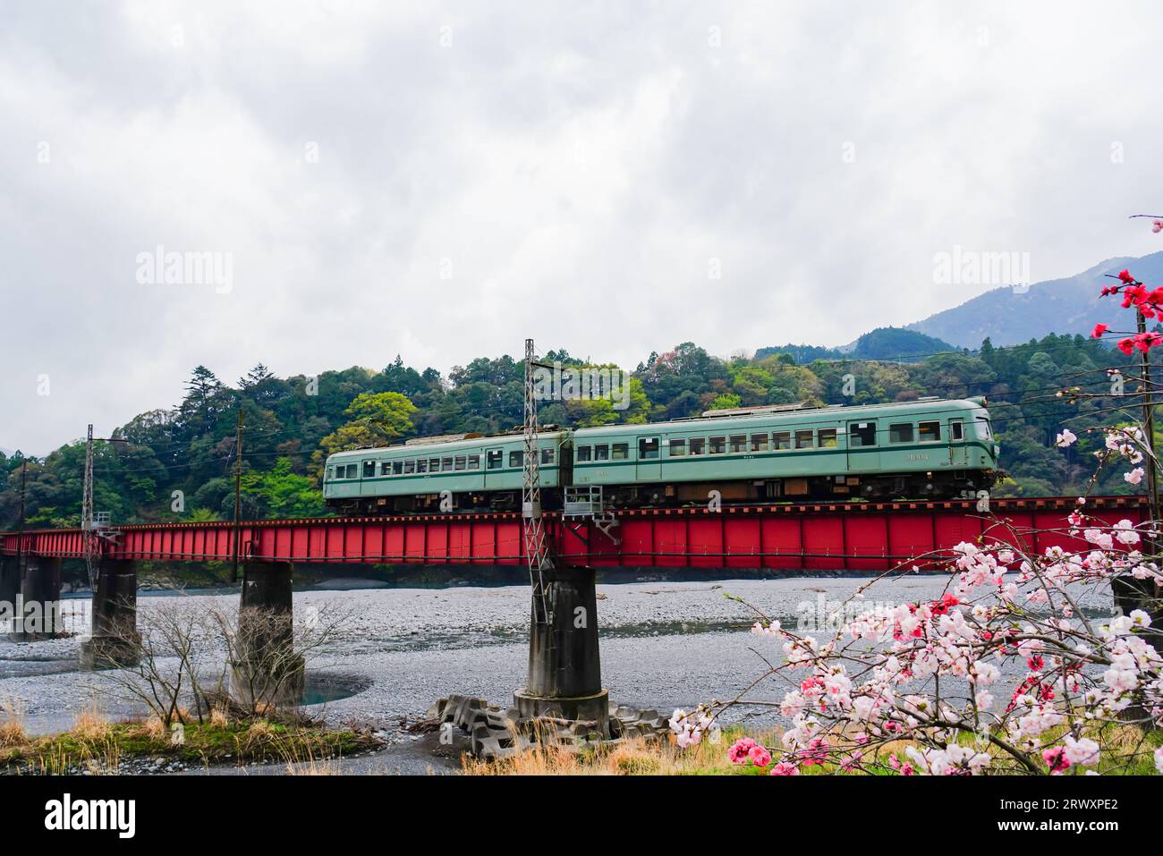 Oigawa Railway Series 21000 train running over the Genpei Peach and ...