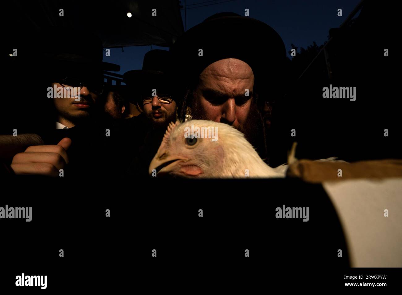 Ultra-Orthodox Jews buy chickens for the Kaparot ritual in Bnei Brak ...