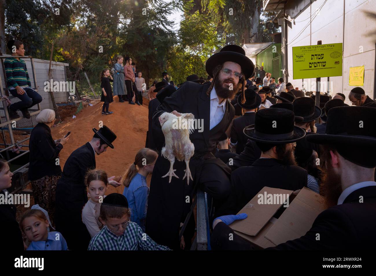 Ultra-Orthodox Jews buy chickens for the Kaparot ritual in Bnei Brak ...