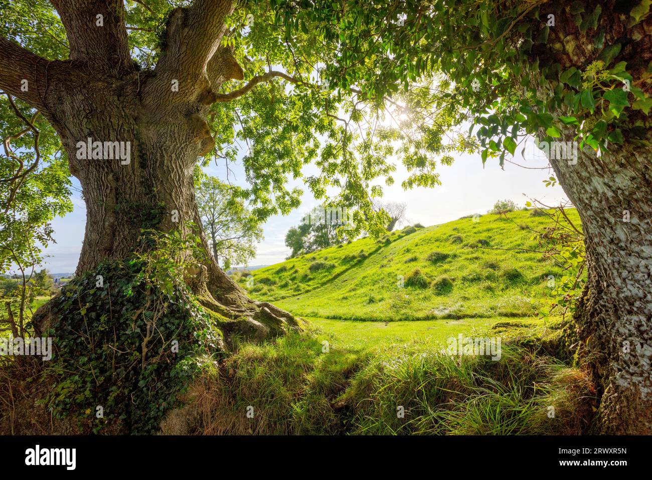 Emain Macha, Navan Fort, County Armagh,Northern Ireland Stock Photo - Alamy