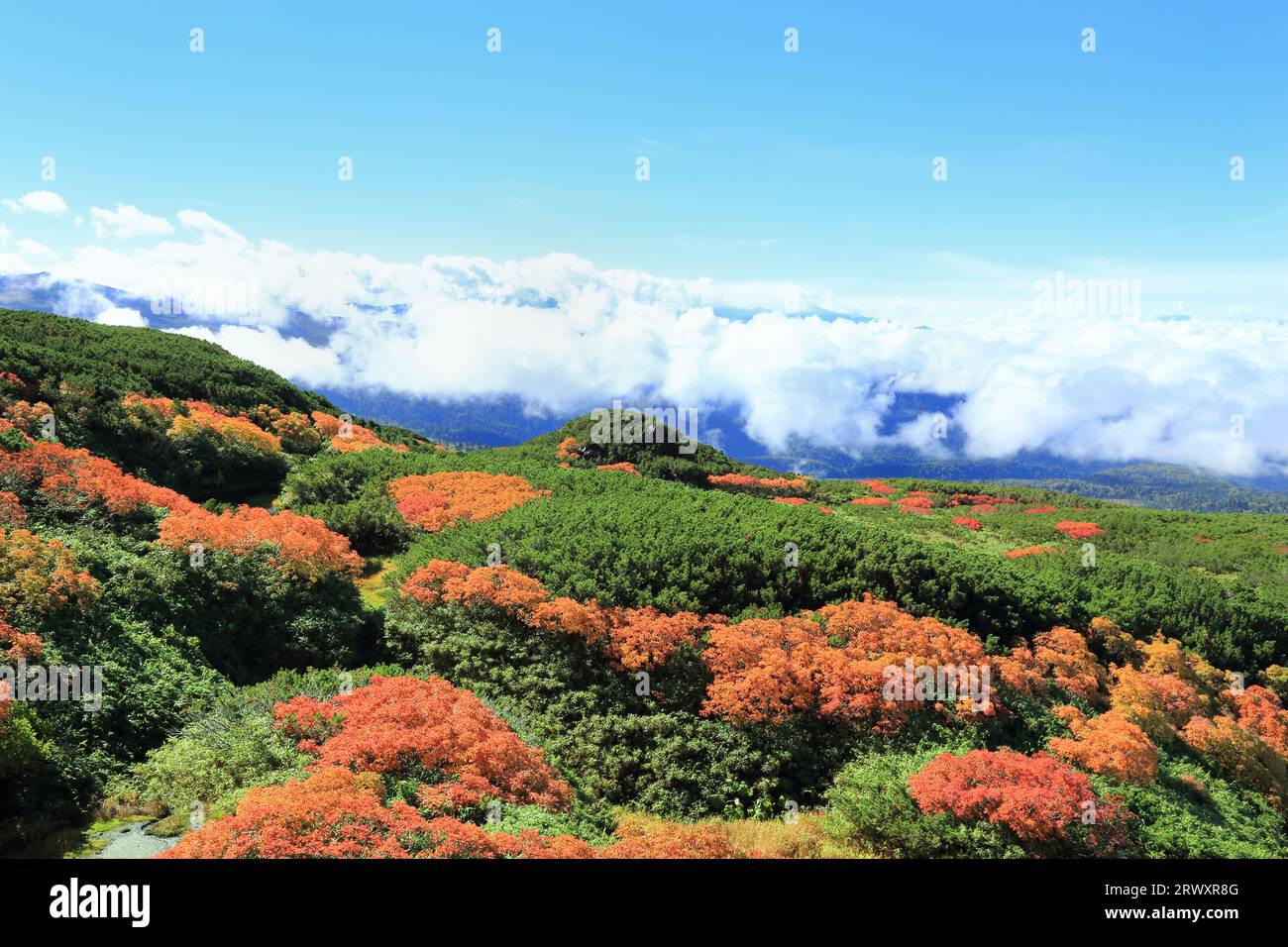 Taisetsu national park hi-res stock photography and images - Alamy