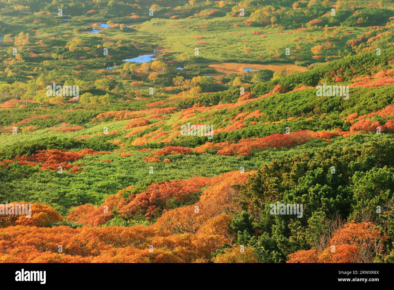 Taisetsu national park hi-res stock photography and images - Alamy
