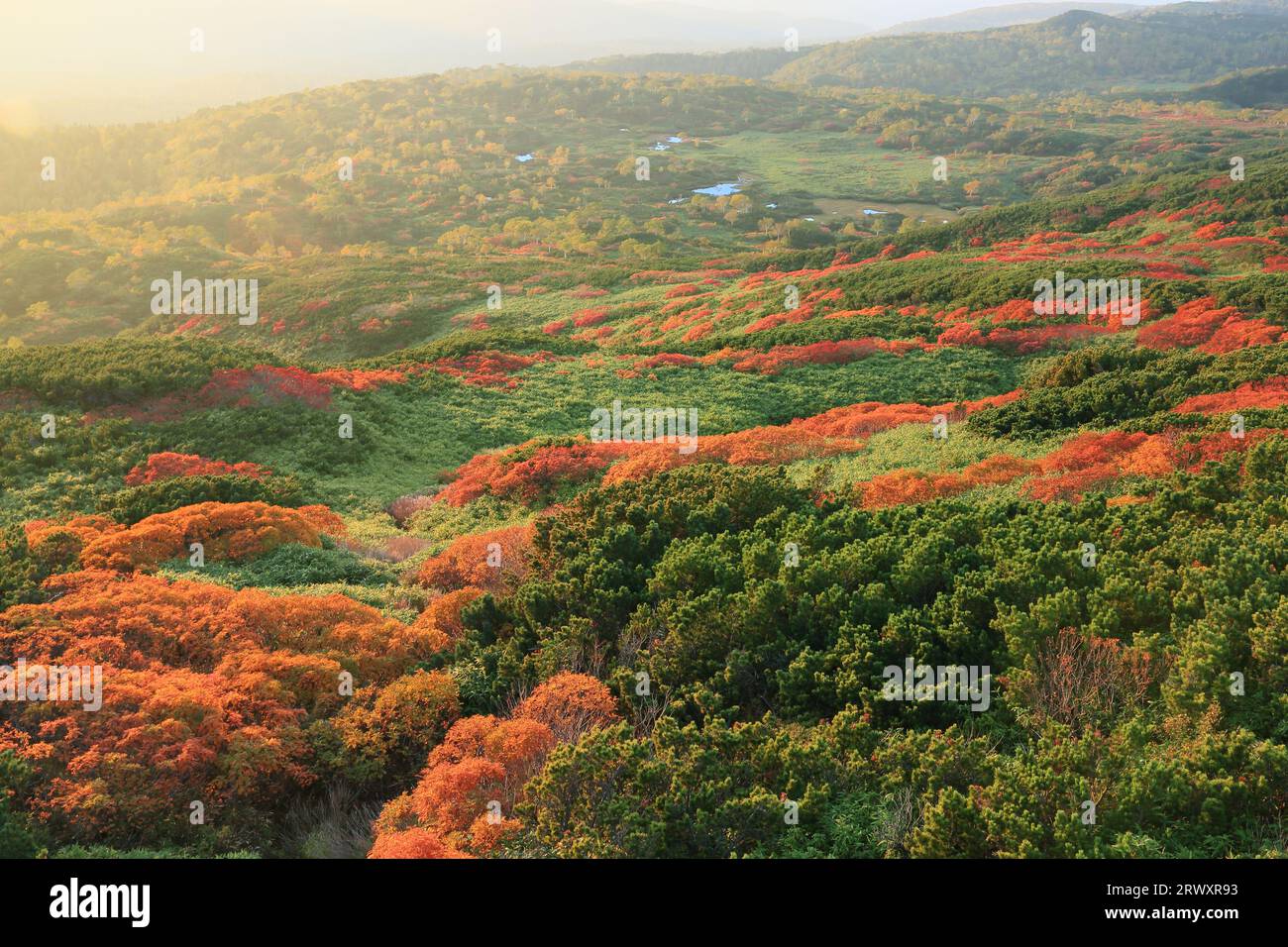 Taisetsu national park hi-res stock photography and images - Alamy