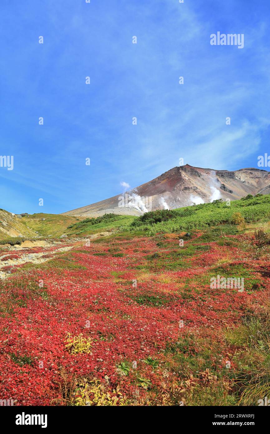 Taisetsu national park hi-res stock photography and images - Alamy