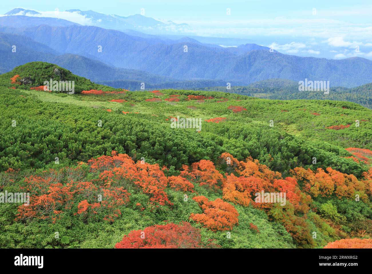 Taisetsu national park hi-res stock photography and images - Alamy