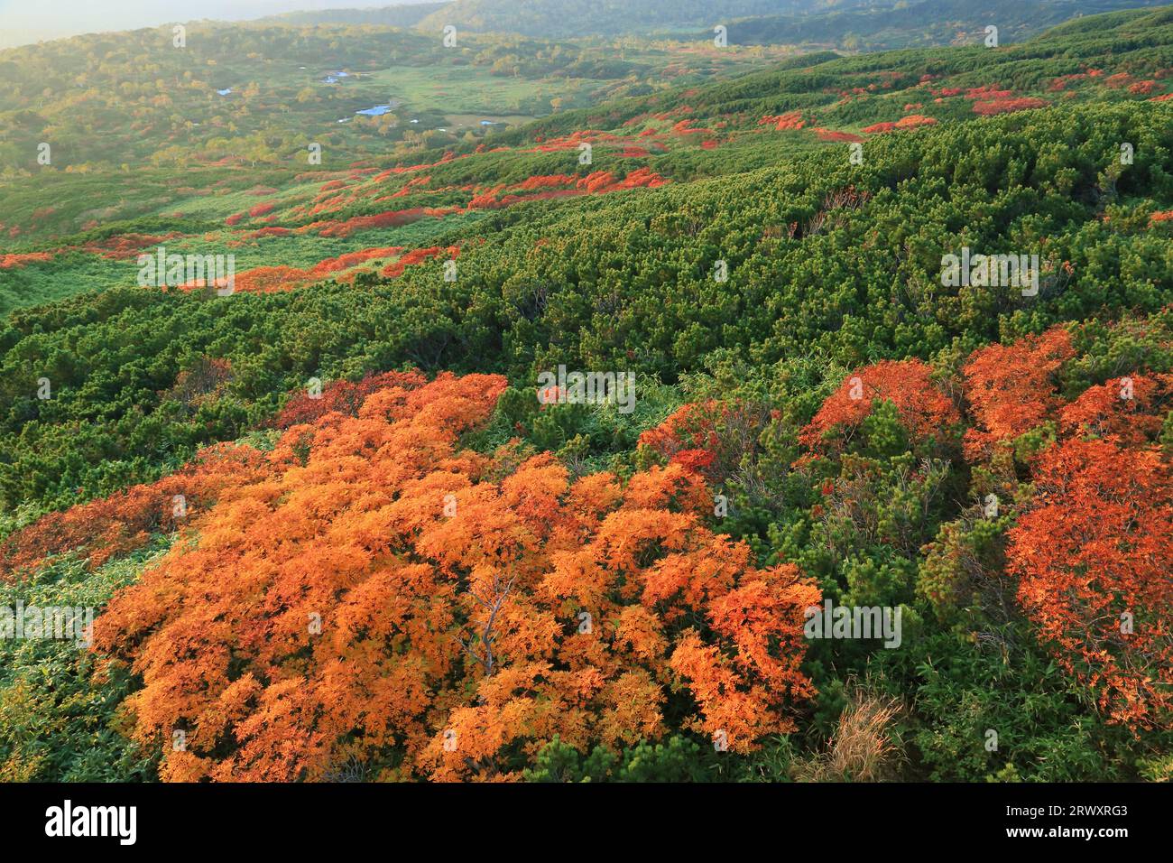 Taisetsu national park hi-res stock photography and images - Alamy