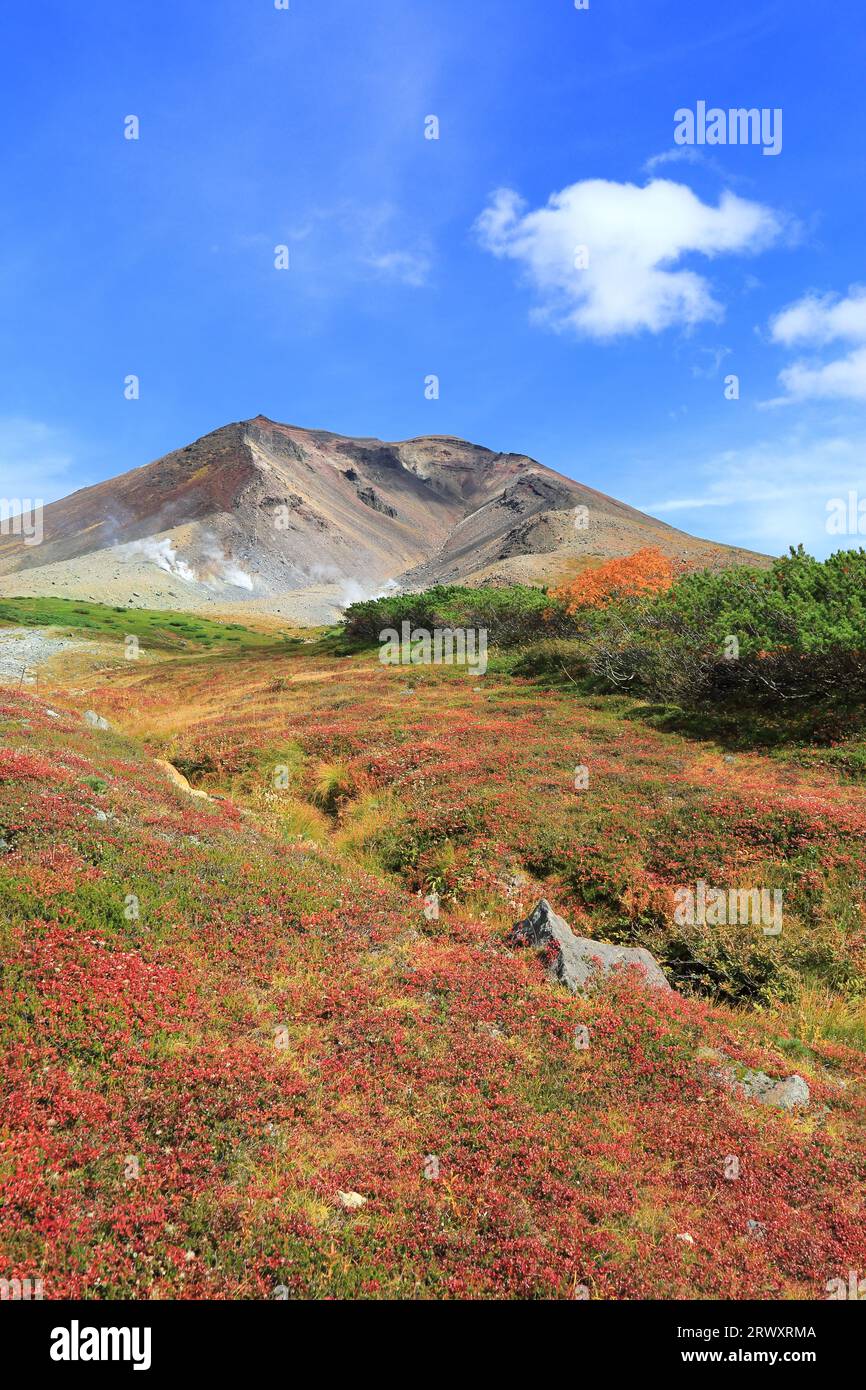 Taisetsu national park hi-res stock photography and images - Alamy