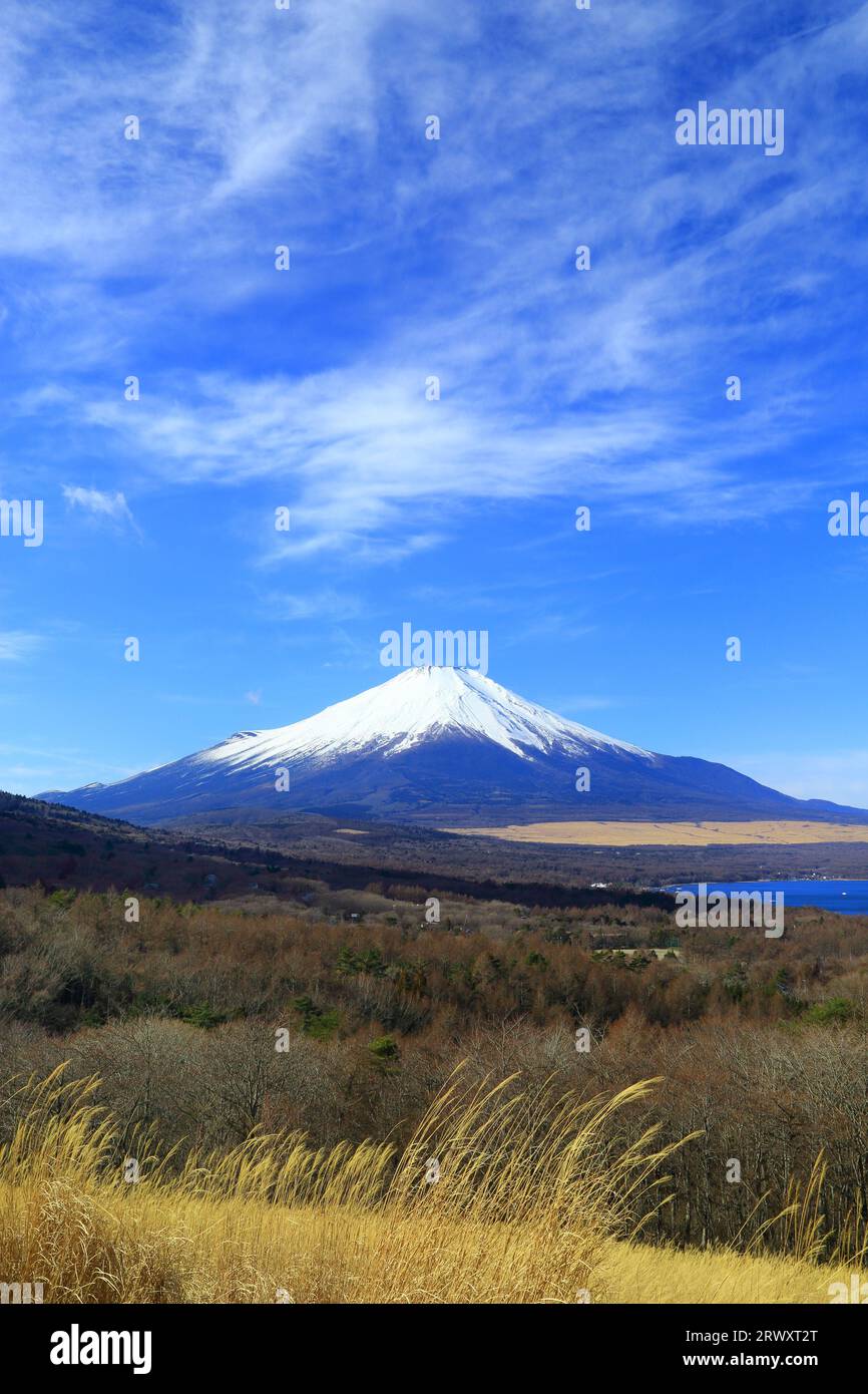 Fuji seen from the panorama platform Stock Photo - Alamy