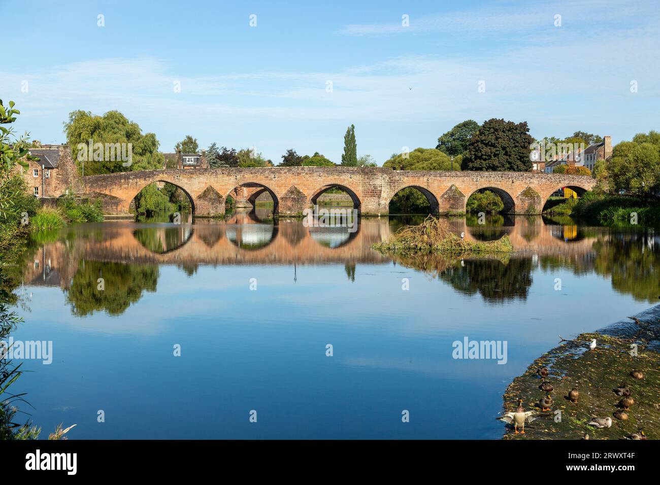 Devorgilla hi-res stock photography and images - Alamy