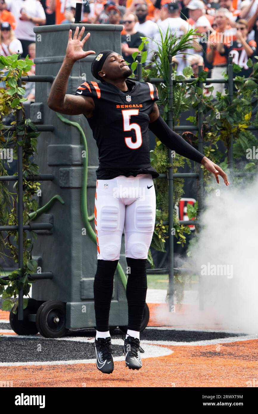 Cincinnati Bengals wide receiver Tee Higgins (5) takes the field during ...
