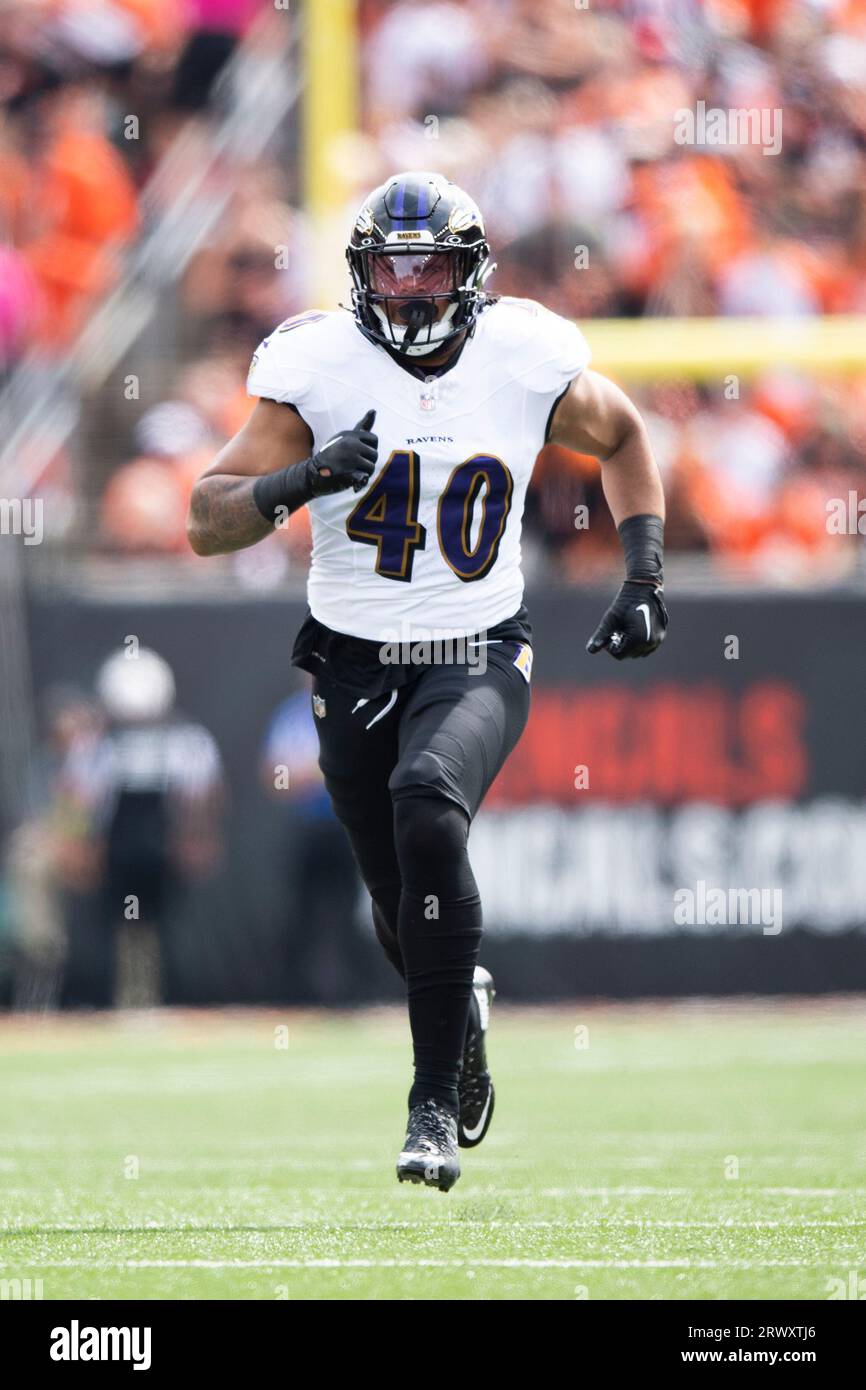 Baltimore Ravens linebacker Malik Harrison (40) runs for the play ...
