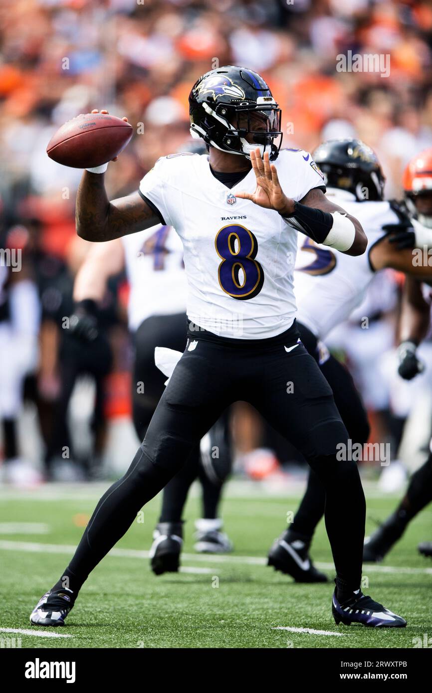 Baltimore Ravens quarterback Lamar Jackson (8) drops back to pass ...