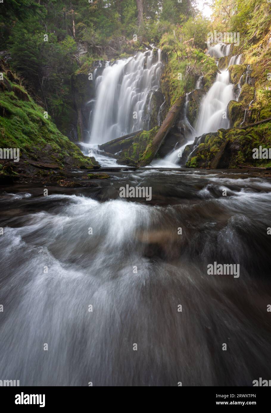 Beautiful waterfall in the southern Oregon cascades framed by green ...