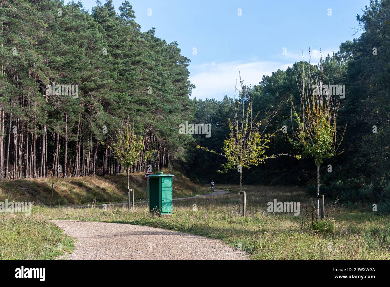 Bucklers Forest, former Transport Research Laboratoy TRL land restored ...