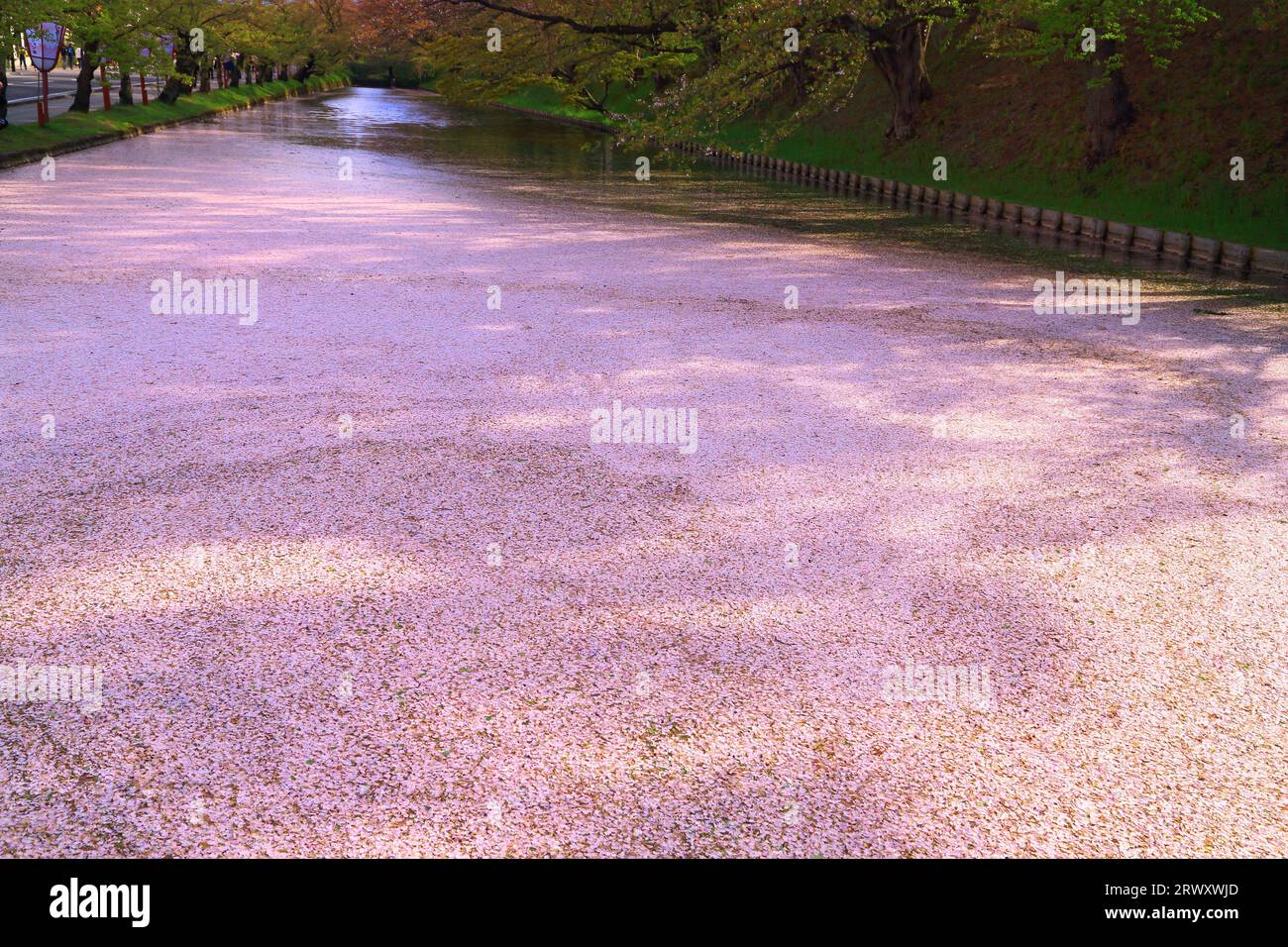Outer flower hi-res stock photography and images - Alamy