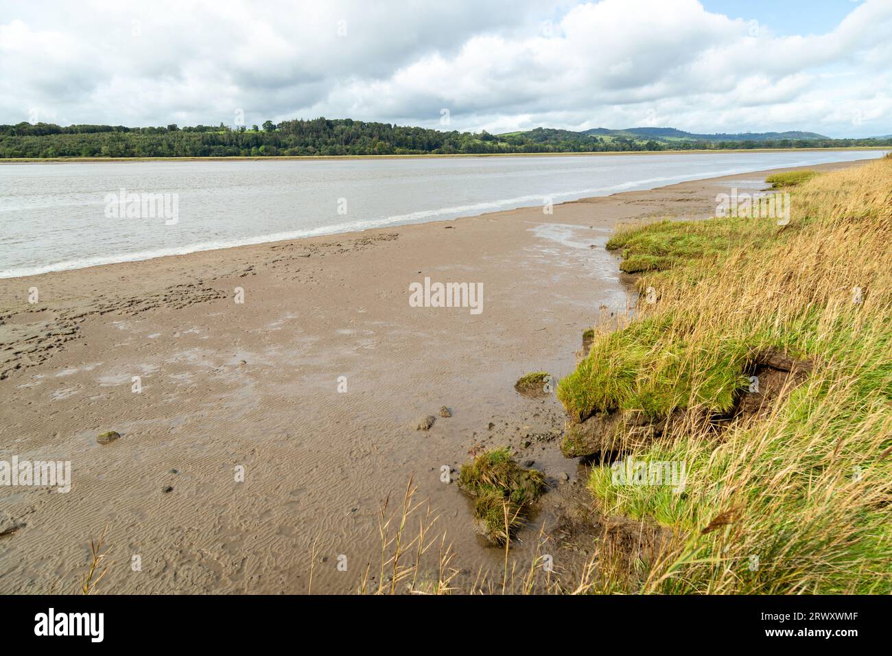 The mud flats along the River Nith near Caerlaverock Castle, Dumfries ...