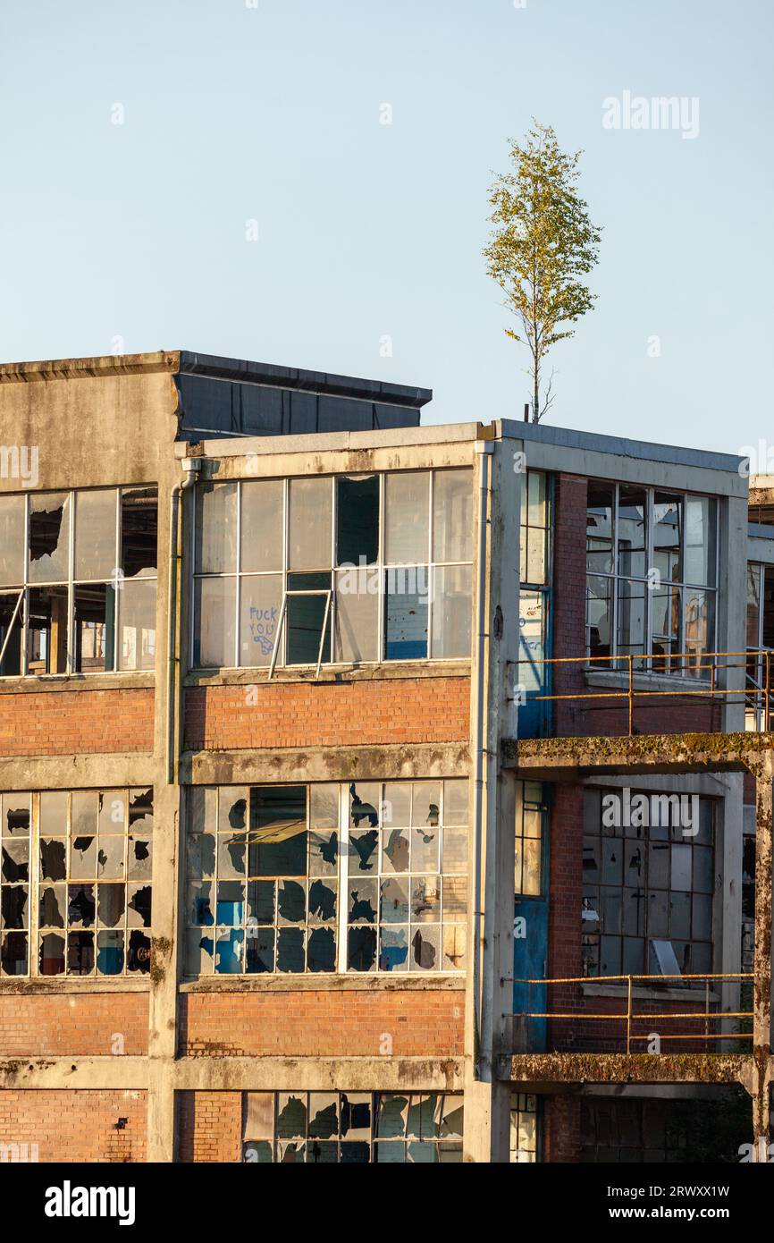 Former Gates Rubber Factory building in Dumfries Stock Photo - Alamy
