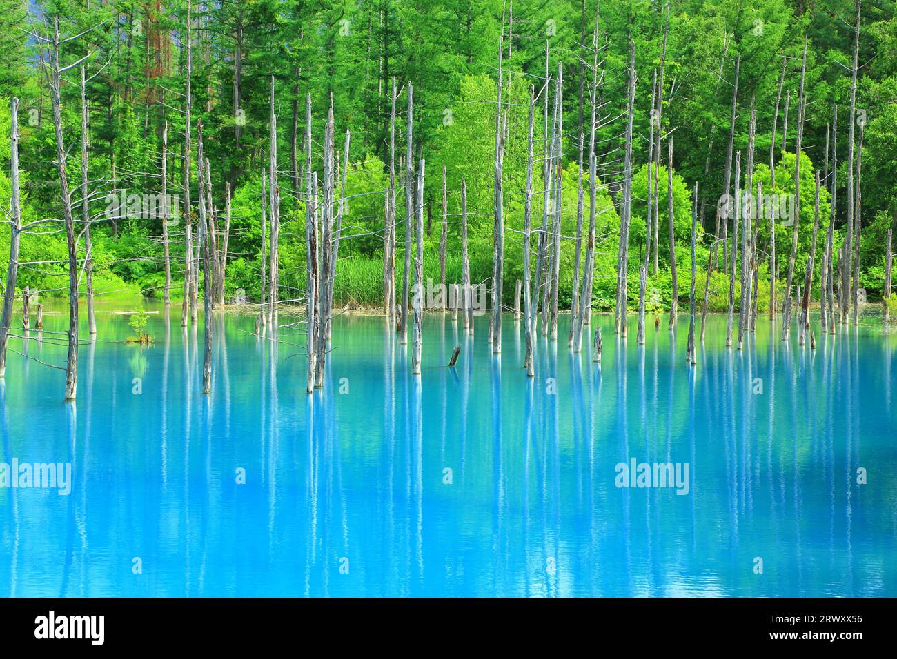 Aoi ike biei hokkaido hi-res stock photography and images - Alamy