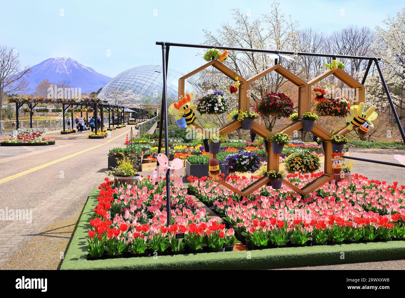 Greenhouse corridor hi-res stock photography and images - Alamy